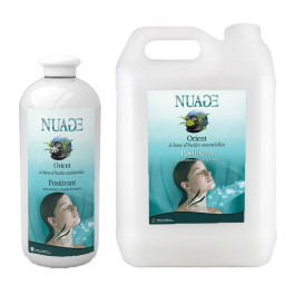 Émulsion pour diffuseurs Nuage Orient - 2 formats au choix | Probeautic Institut | Produit ...